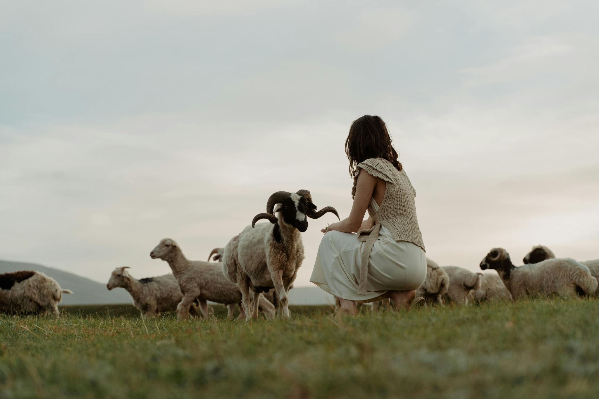 Sheperdess Camp with Driftless Curiousity | Richland Center Wisconsin
