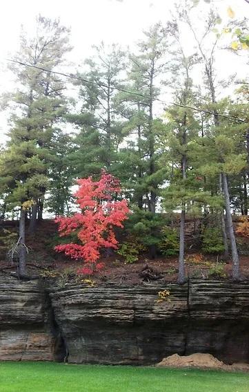 Pier County Park - Rockbridge | Richland Center Wisconsin